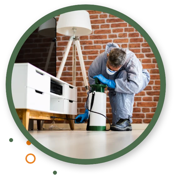 Pest Control Services | Exterminator | Corbett Exterminating